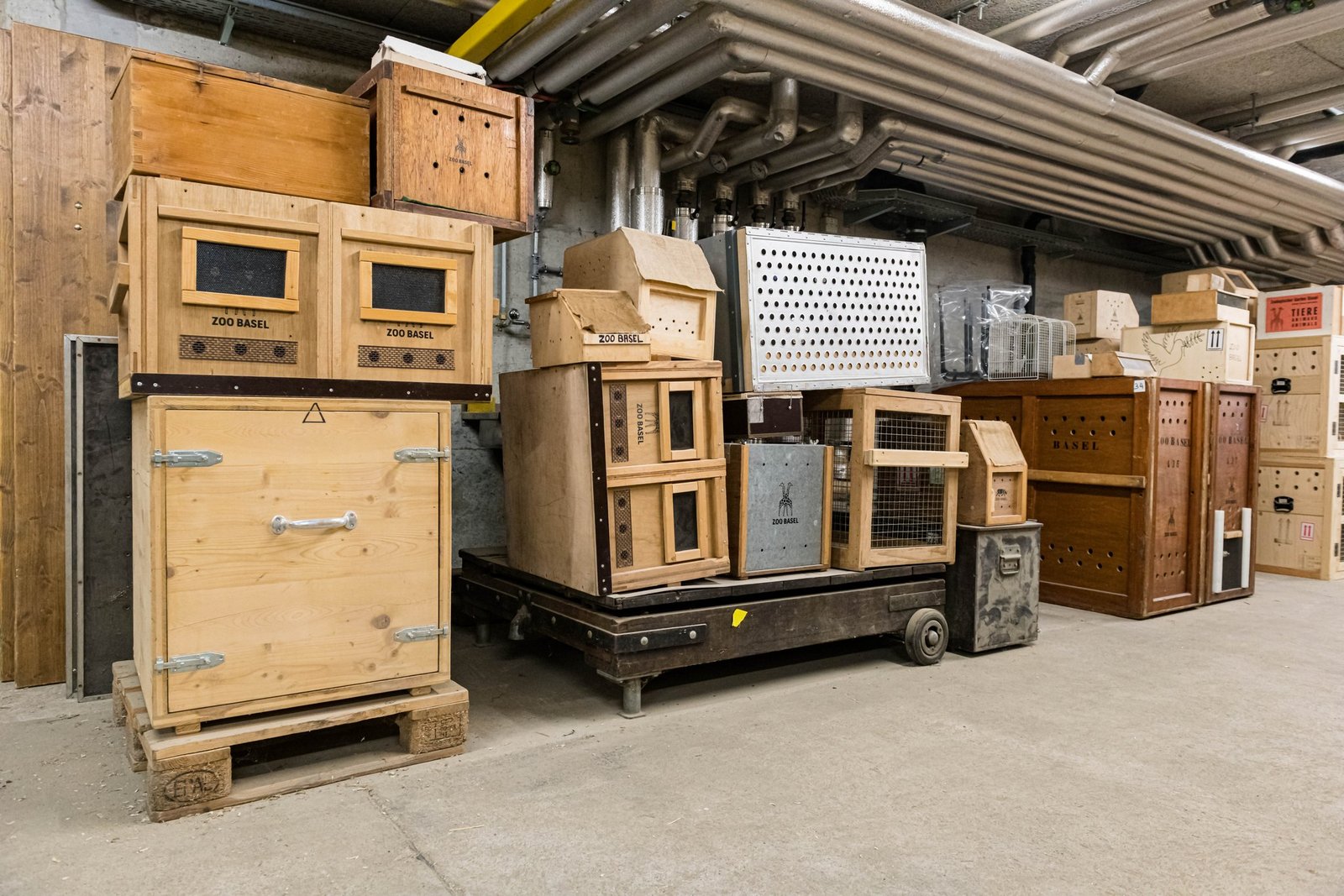 So läuft ein Tiertransport ab - tierwelt.ch | TierWelt