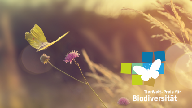 TierWelt | TierWelt