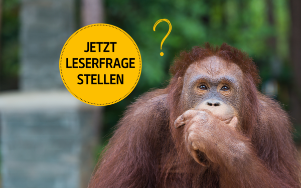 Stellen Sie jetzt Ihre Leserfrage zu Tier und Natur - tierwelt.ch ...