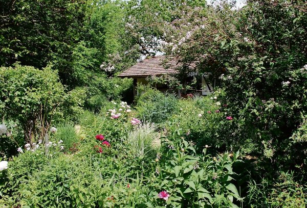 Wie man einen Staudengarten anlegt - tierwelt.ch | TierWelt