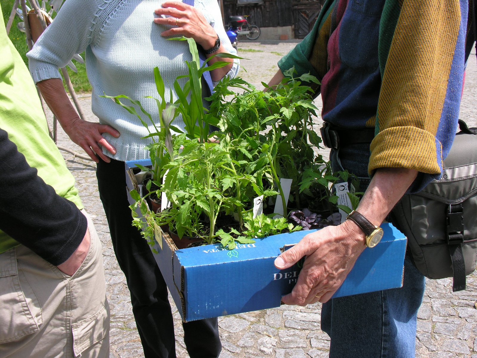 Setzlingsmärkte von ProSpecieRara - tierwelt.ch | TierWelt