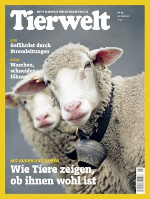 Wählen Sie Ihr Cover 2017 - tierwelt.ch | TierWelt
