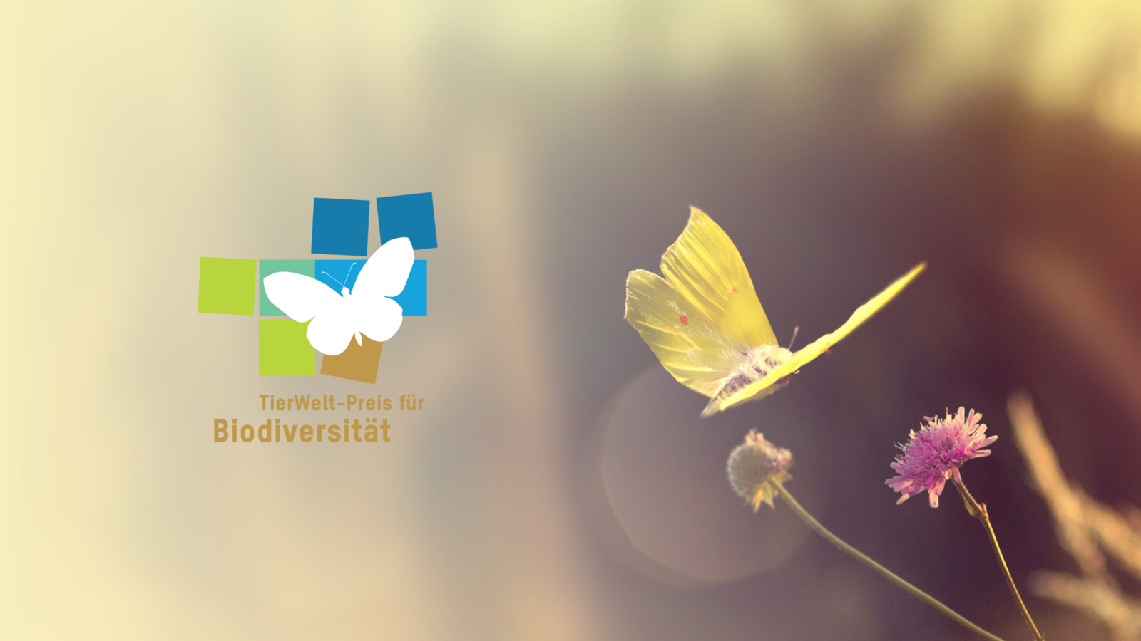 TierWelt Preis für Biodiversität 2024 - tierwelt.ch | TierWelt