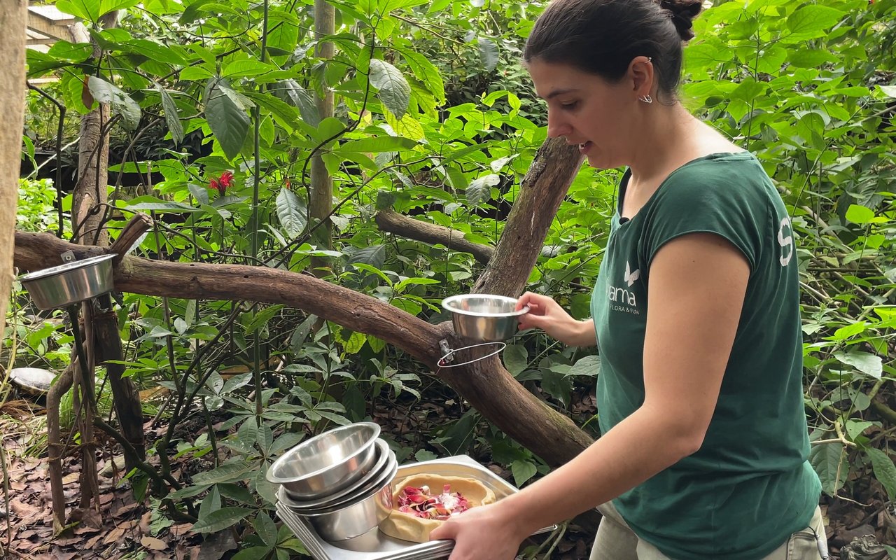 So arbeiten die Tierpfleger im Papiliorama - tierwelt.ch | TierWelt