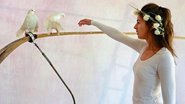 Marula, die mit den Tauben tanzt - tierwelt.ch | TierWelt