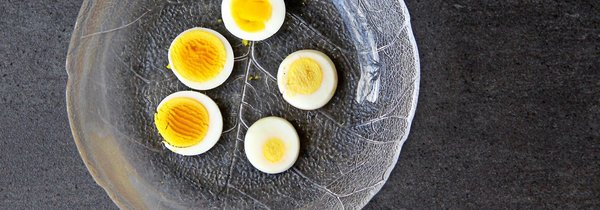 Eigelb ist nicht gleich Eigelb - tierwelt.ch | TierWelt