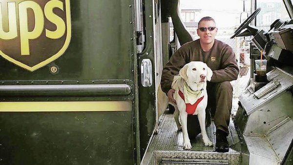 Hunde und Pöstler lieben sich doch - tierwelt.ch | TierWelt