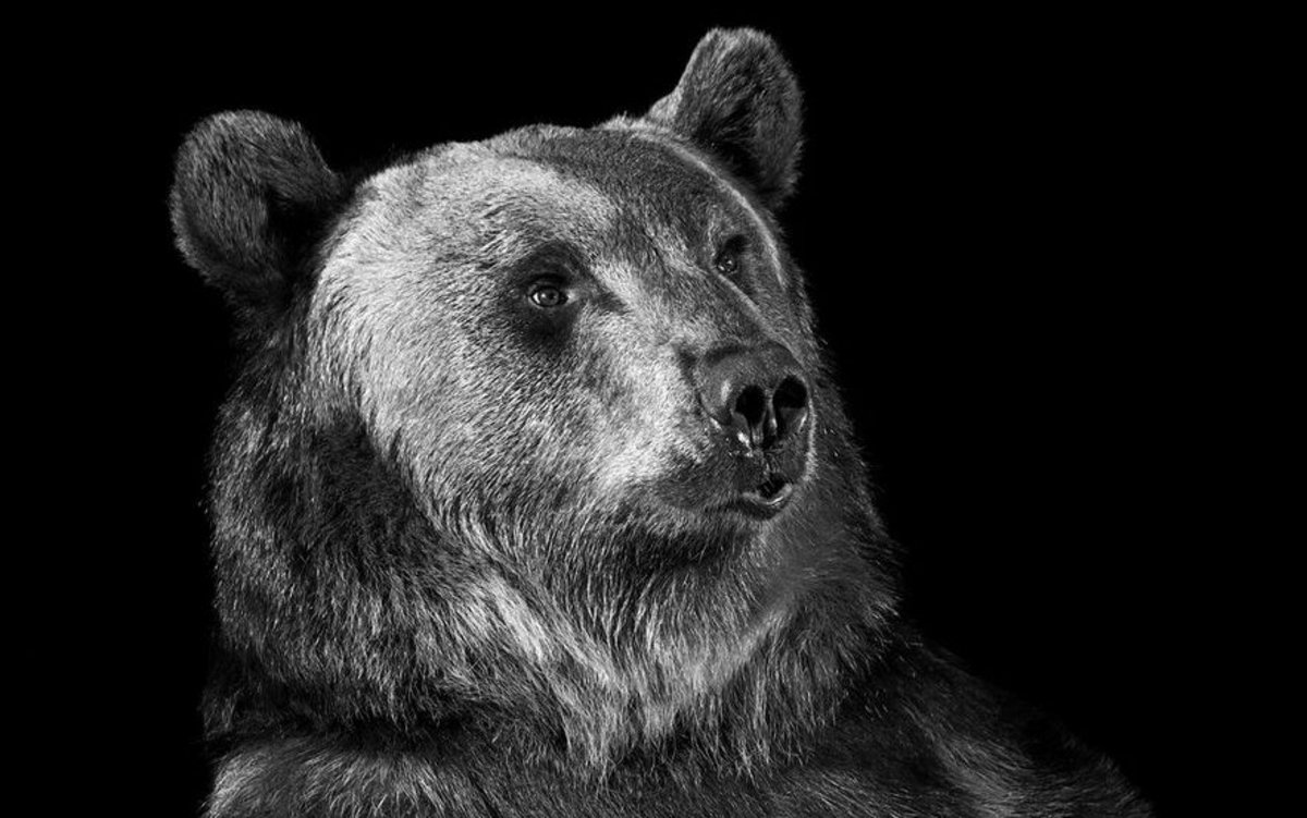 «Meine Regel lautet: unterschätze kein Tier» - tierwelt.ch | TierWelt