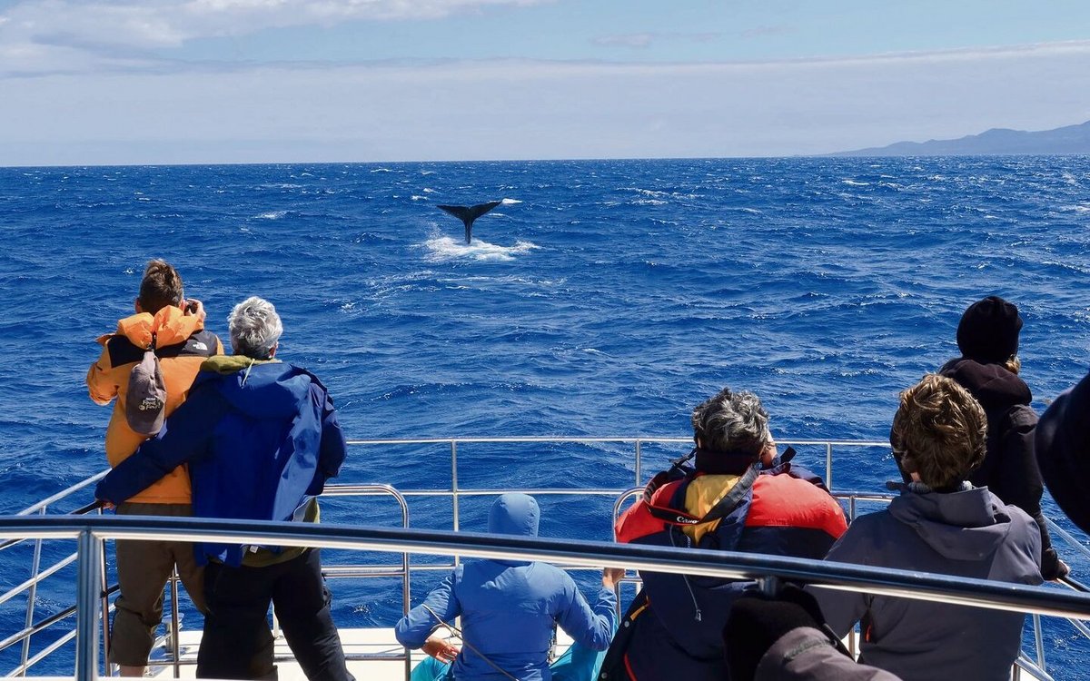 Freiwillige arbeiten für Tiere und Natur - tierwelt.ch | TierWelt
