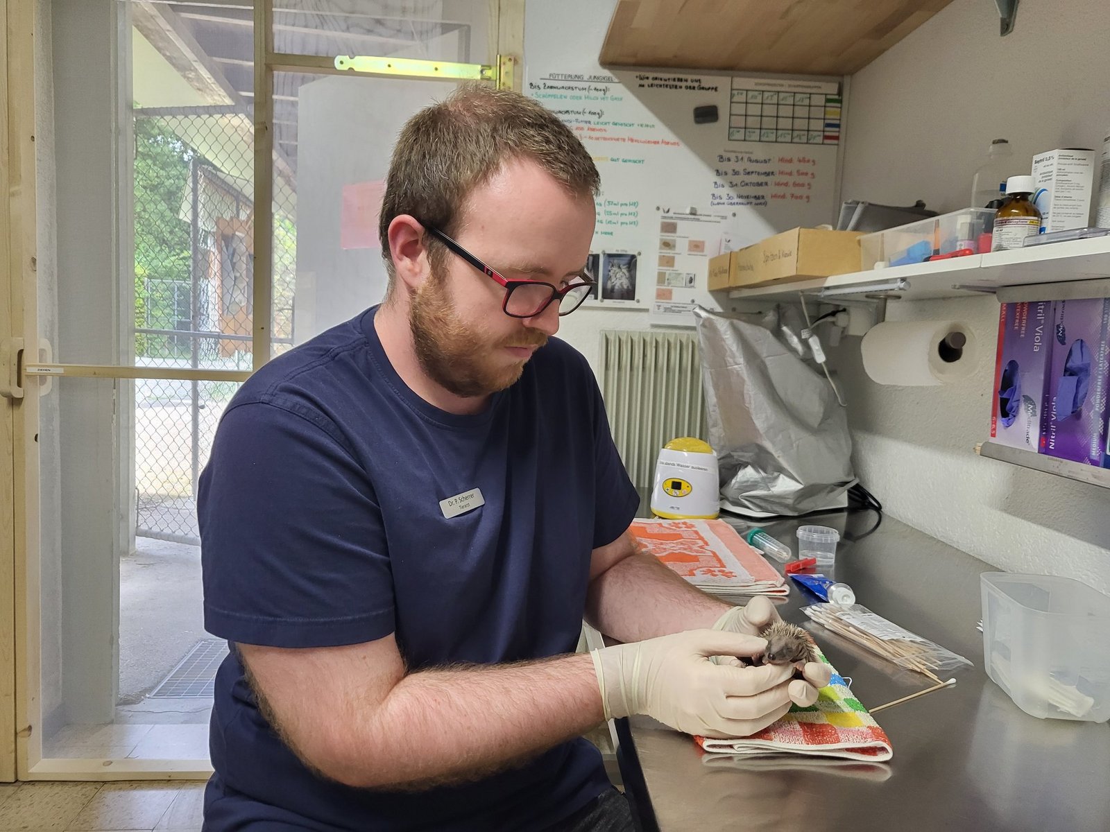 «Der Jöh-Effekt verschwindet nie» - tierwelt.ch | TierWelt