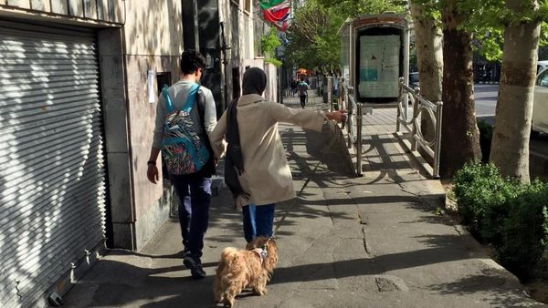 Gassigehen wird im Iran strafbar - tierwelt.ch | TierWelt