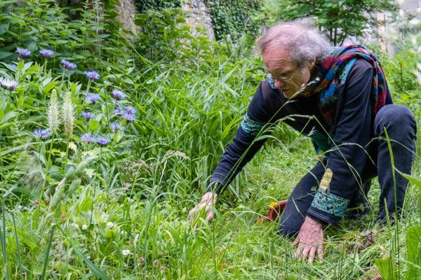 Im Kräutergarten der Kreuzritter - tierwelt.ch | TierWelt