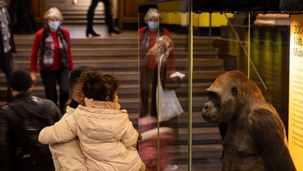 Zeitreise durch die Museumsgeschichte für die ganze Familie - tierwelt ...
