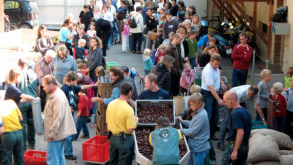 Sechs Tonnen «Chegele» für die Hirsche - tierwelt.ch | TierWelt