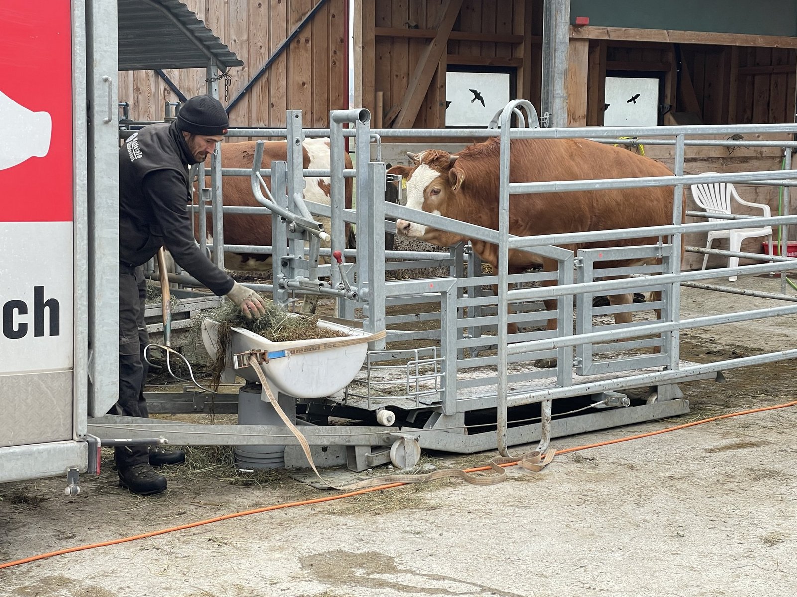 Tierwohl bis in den Tod - tierwelt.ch | TierWelt