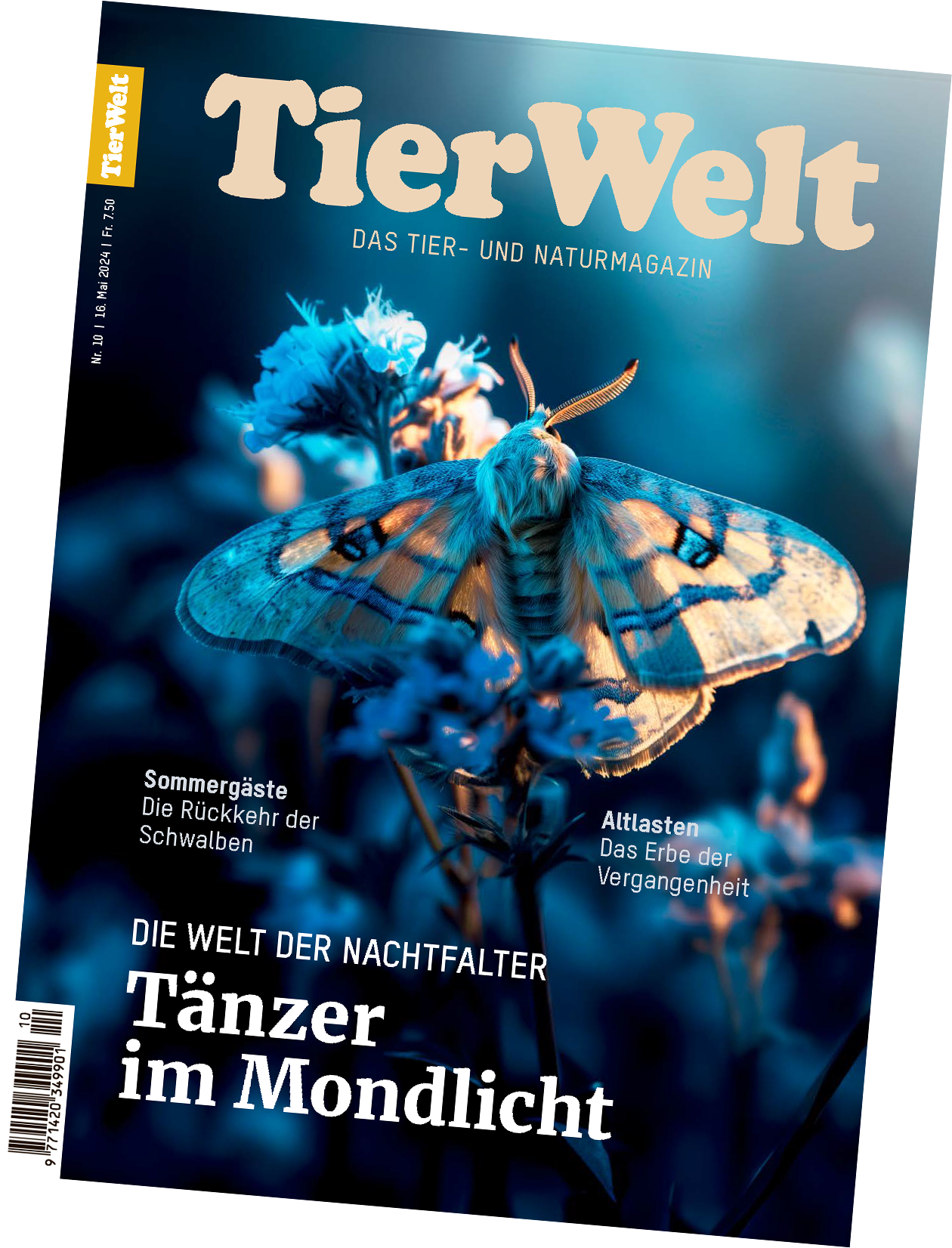 Magazin | TierWelt