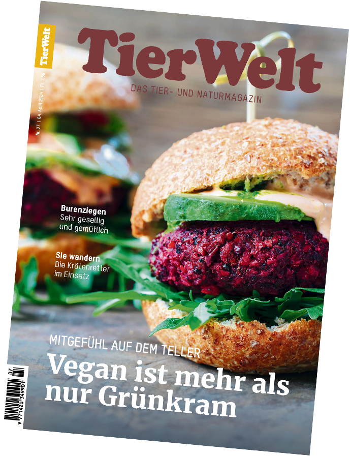 TierWelt | TierWelt