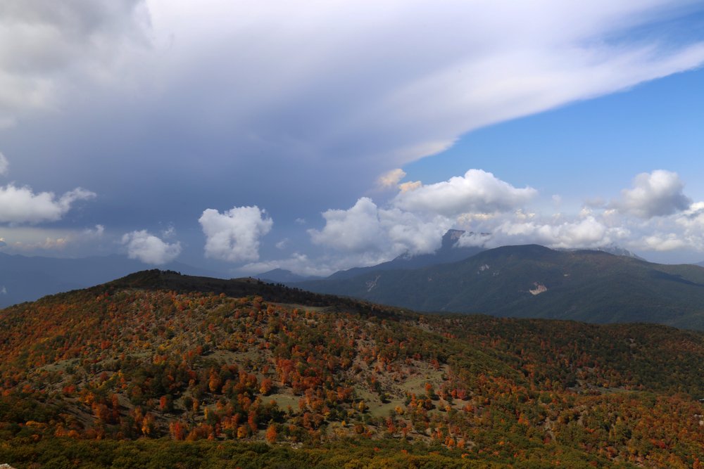 Walnüsse, nicht nur zu Weihnachten - tierwelt.ch | TierWelt