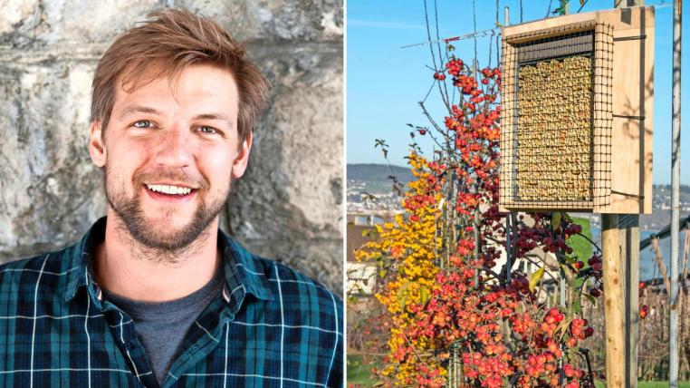 Claudio Sedivy: Der Bienenkurier - tierwelt.ch | TierWelt